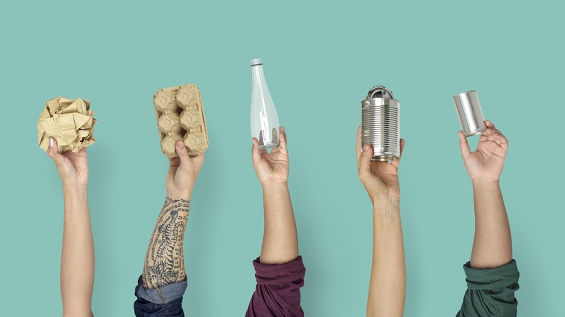 Closing the Loop: TerraCycle’s circular economy and its impact on ...