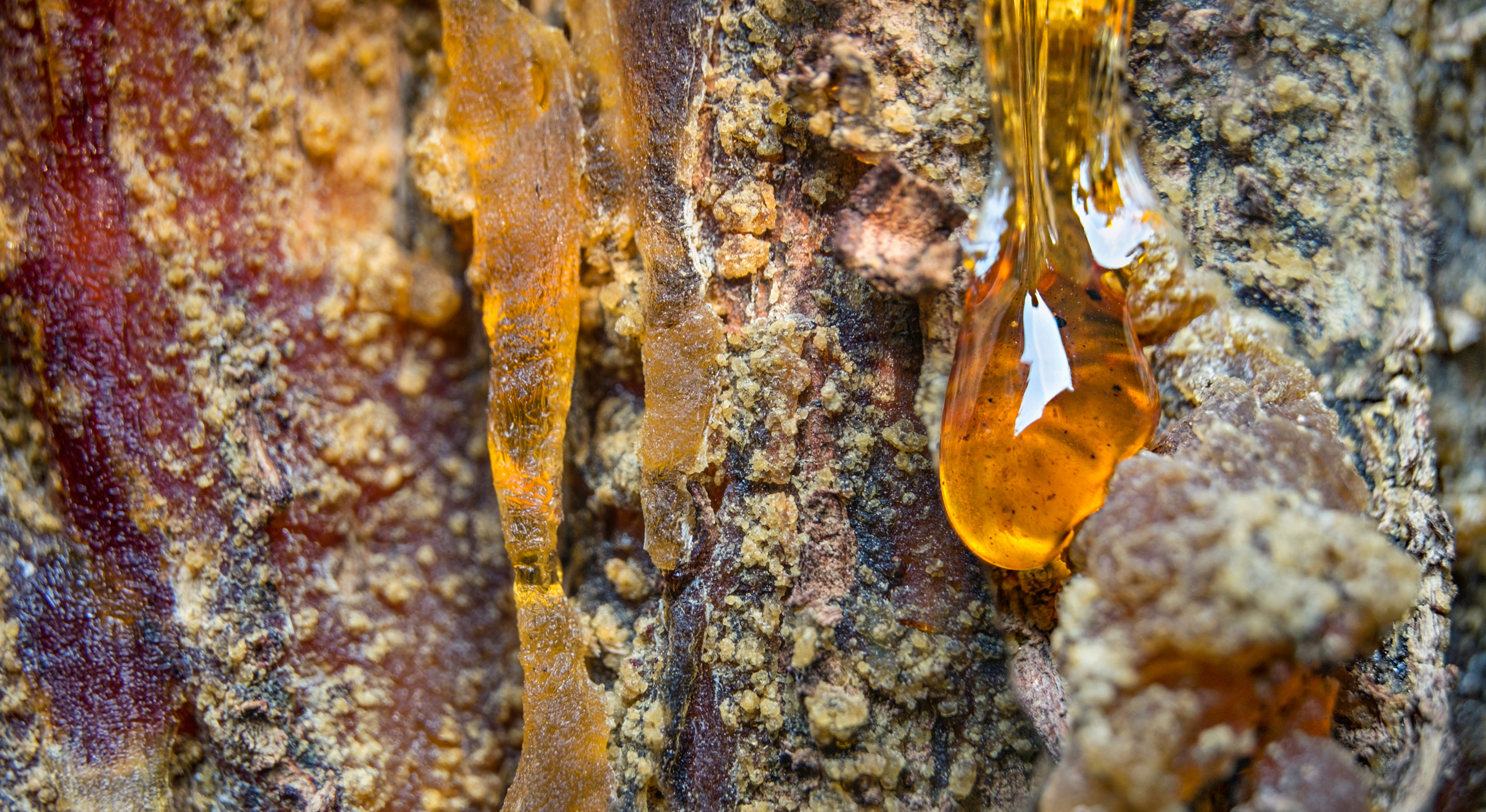 Dantex Graphics Limited - Inside Packaging | Issue 43 | November 2018