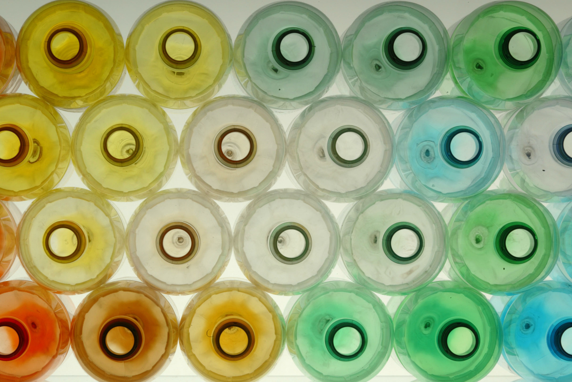 Canpack - Inside Packaging | Issue 49 | November 2019